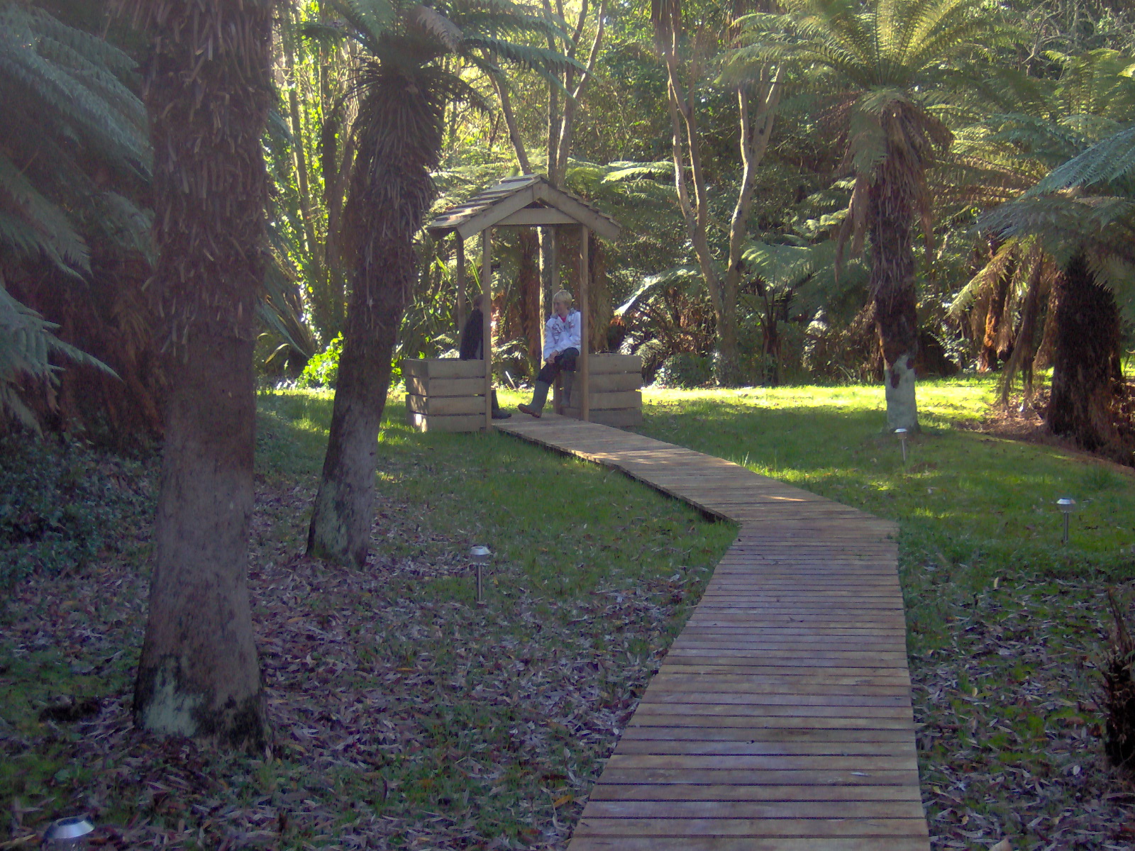 Welcome to The Golden Springs Gallery